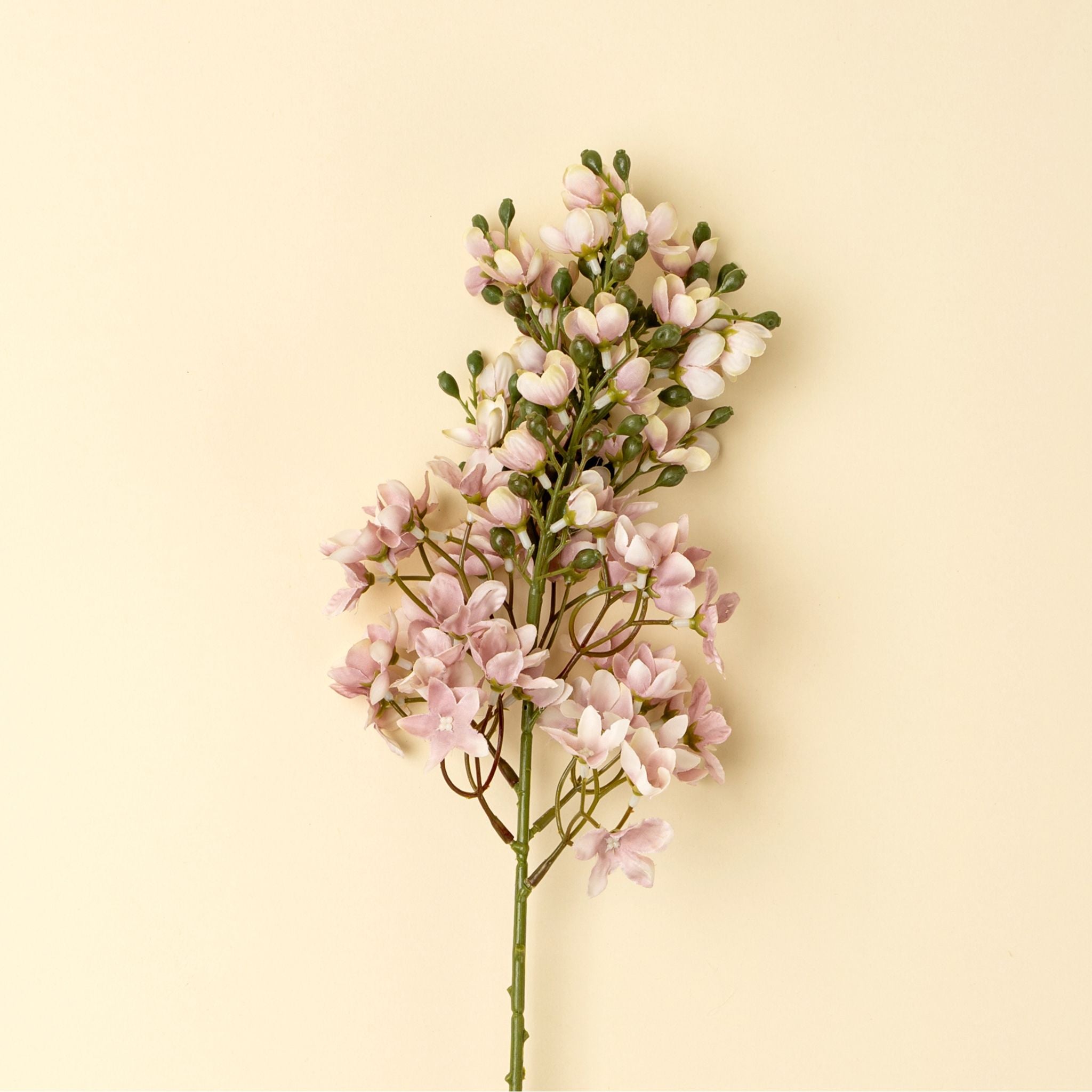 Delphinium Floral Stem | Pink – Modern Komfort