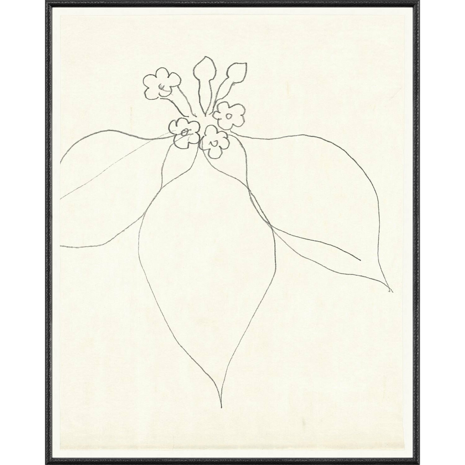 Bloom Contour IV – Modern Komfort